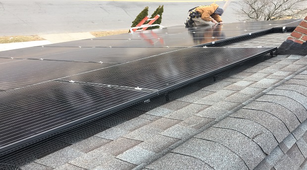 Critter Guards | Supreme Power